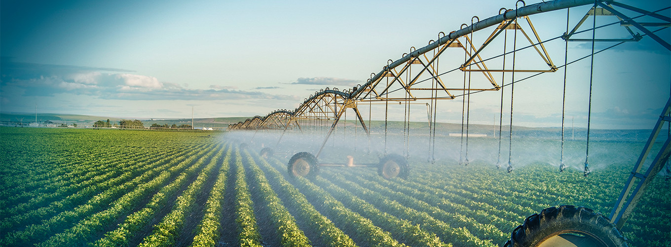 TRind Industries - WEG Electric Motors, VSD's and Control Products